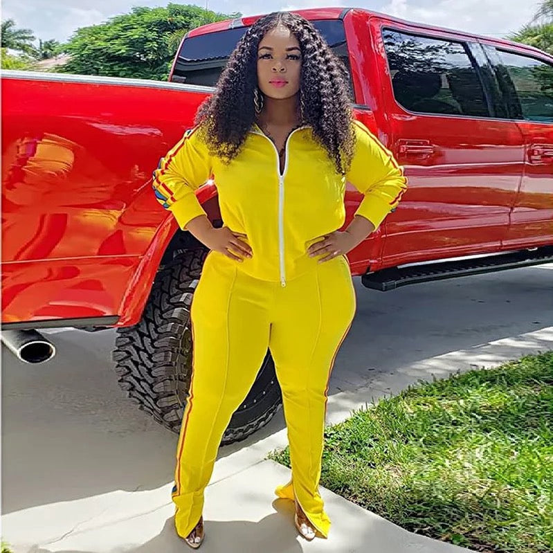 WINTER COLLECTION — YELLOW SUB TRADING